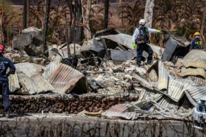 Non-Combustible Construction: Do Fire-Resistant Materials Matter