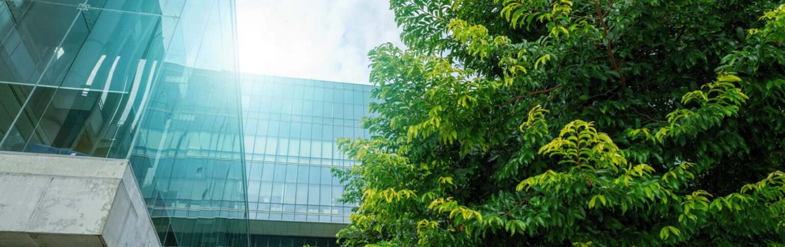 Sustainability in Construction: Why It Matters, Best Practices